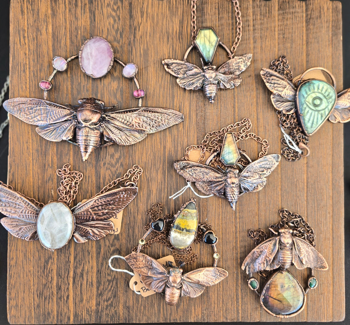 Immortalized Insects – SoulShine Spirit